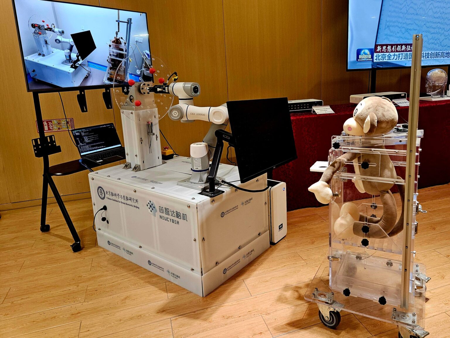 From Science Fiction to Clinical Reality: China Accelerates Brain ...